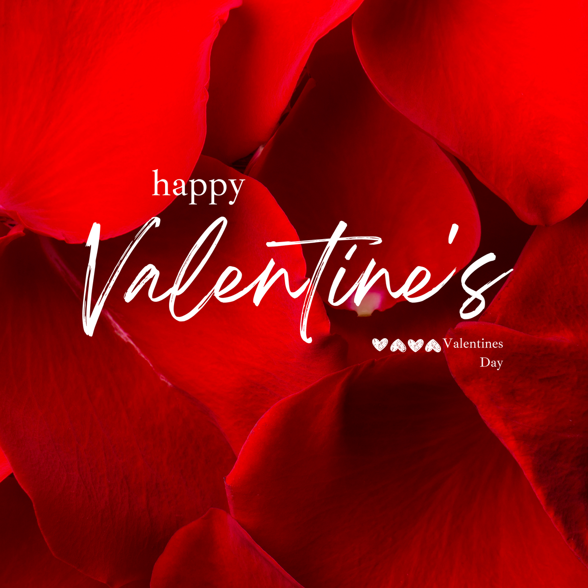 Valentines Day Collection – Tagged "Valentines Day collection"– iLash ...